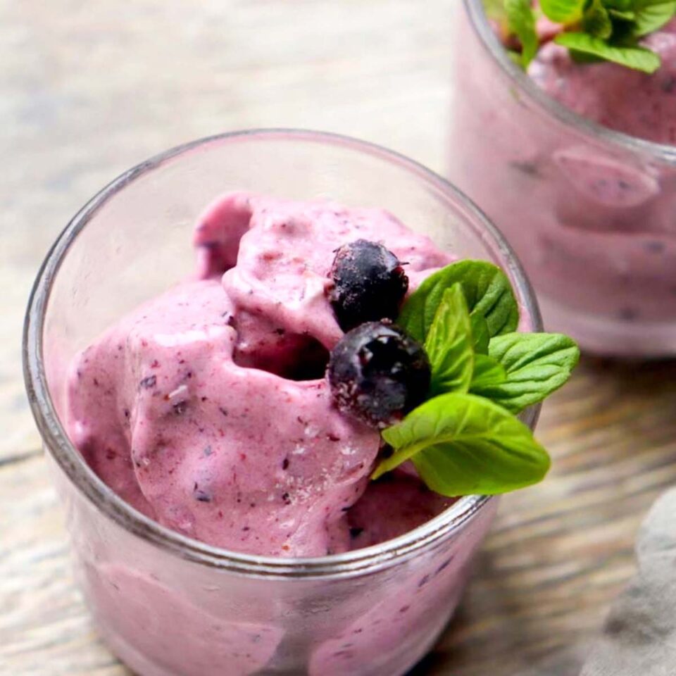 Low Calorie Popsicles - Simply Low Cal