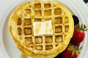 Low Calorie Waffles - Simply Low Cal