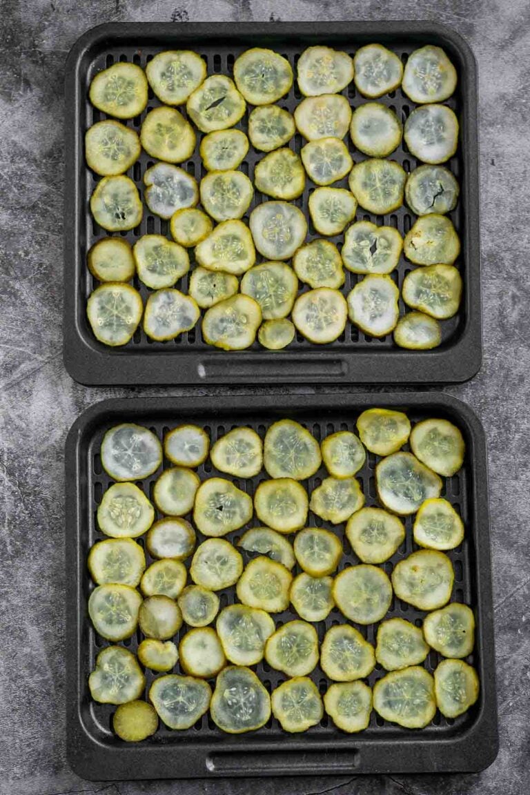 Dehydrated Pickle Chips - Simply Low Cal